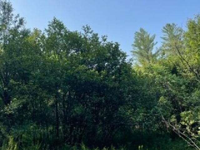 Strawberry Hill Rd, Fletcher, Plot For Sale