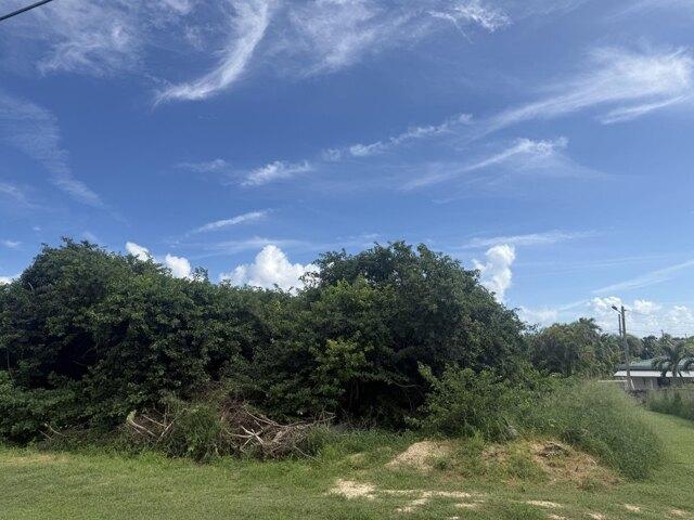 Strawberry Hl # Ki, Saint Croix, Plot For Sale