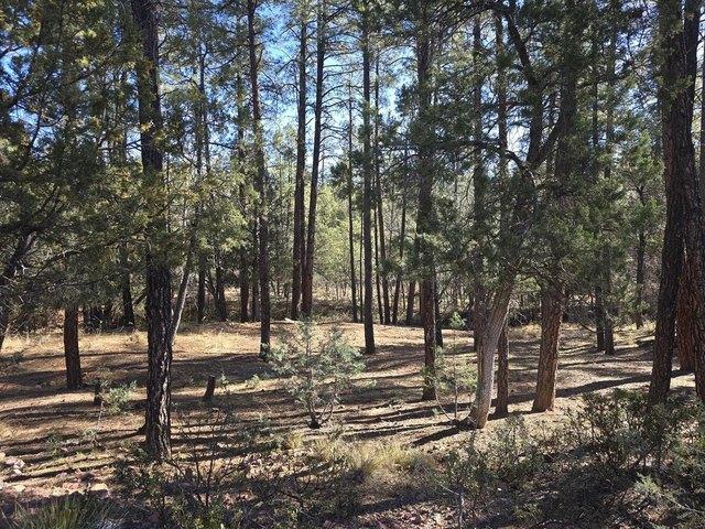 Strawberry Holw Lot 18, Pine, AZ 85544