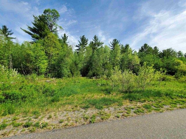Strawbrook Ln Lot,canaan, Plot For Sale