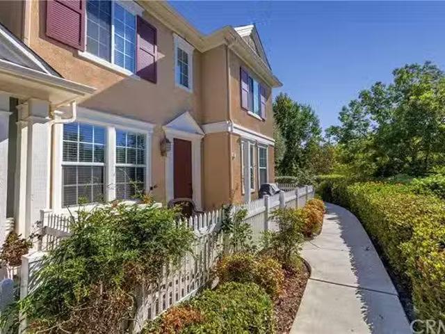 Strawflower, LADERA RANCH, CA 92694