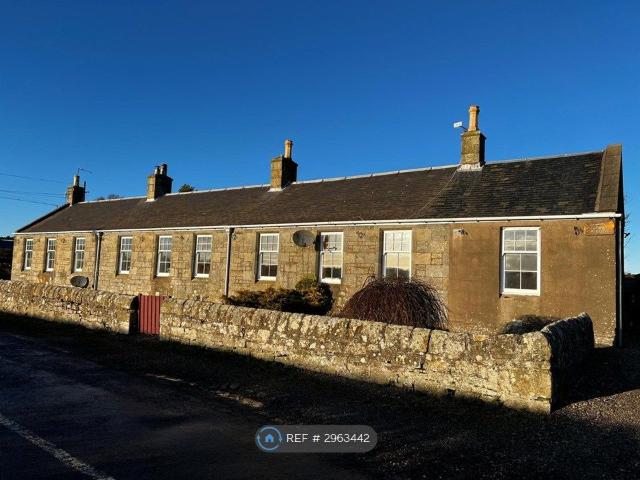 Stravithie, St. Andrews KY16, 2 bed semi detached house to rent, £1,100 pcm | PrimeLocation