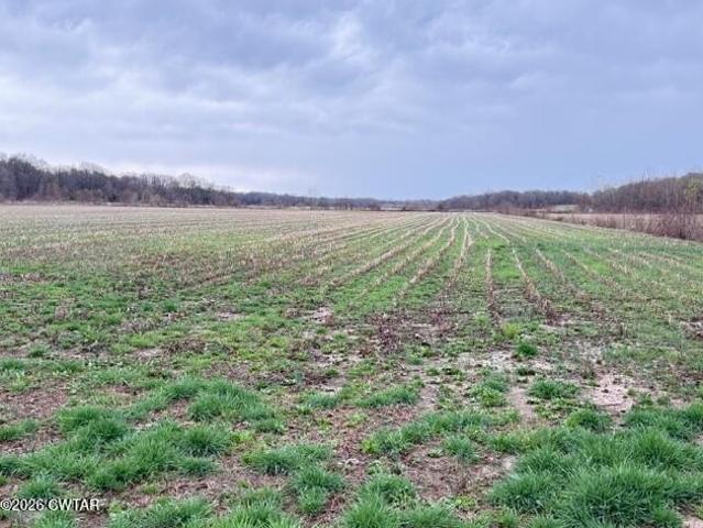 Strayleaf Rd, Wildersville, TN 38388