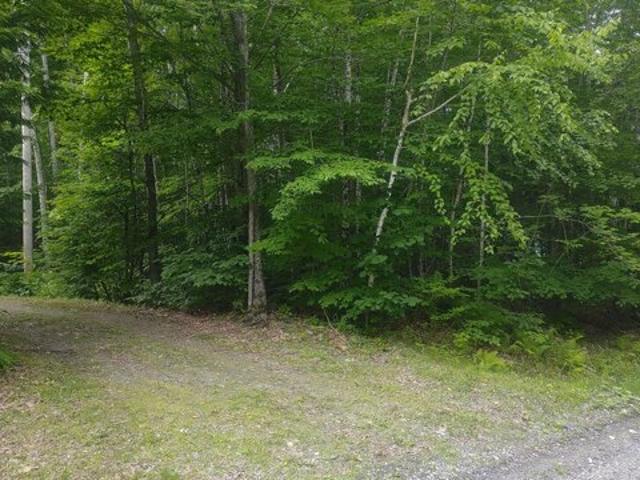 Stream Rd, Vienna, Plot For Sale