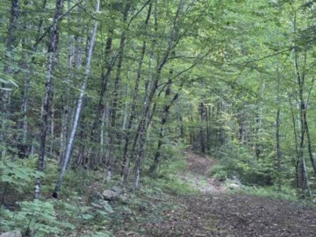 Streaked Mountain Rd Lot,buckfield, Plot For Sale