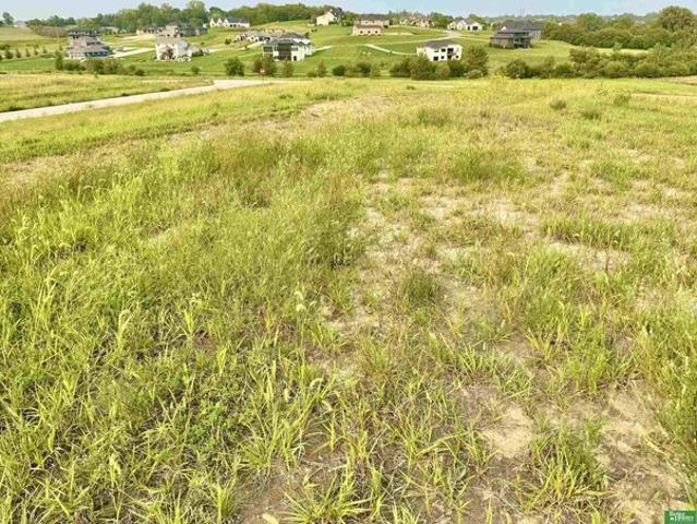 Street Lot 46, Gretna, NE 68028