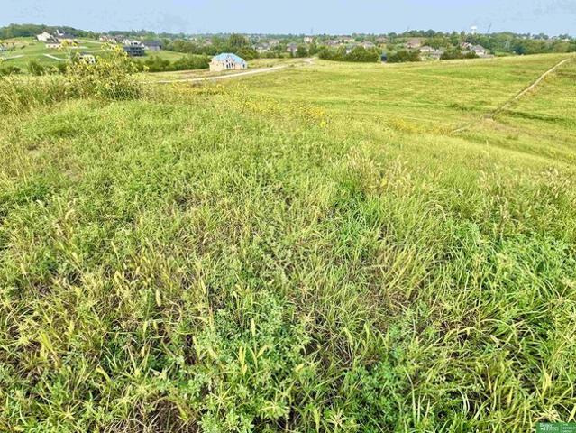 Street Lot 47, Gretna, NE 68028