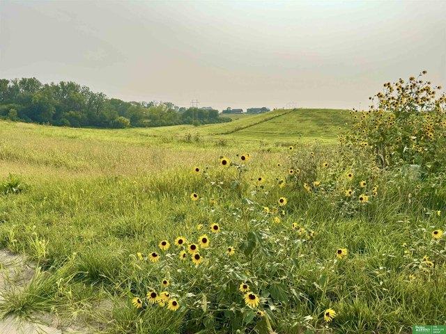 Street Lot 52, Gretna, NE 68028