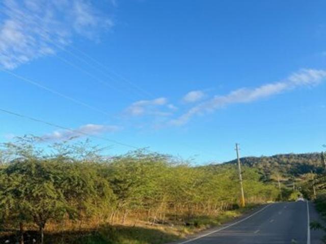 Street Susua Baja Unit Brisas, Yauco, Plot For Sale