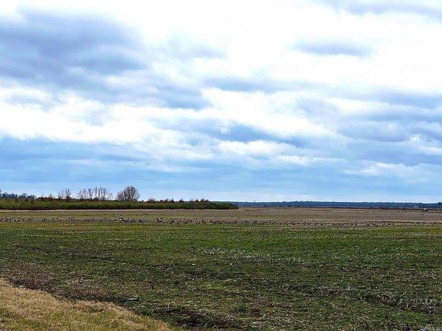 Stuttgart, AR 72160