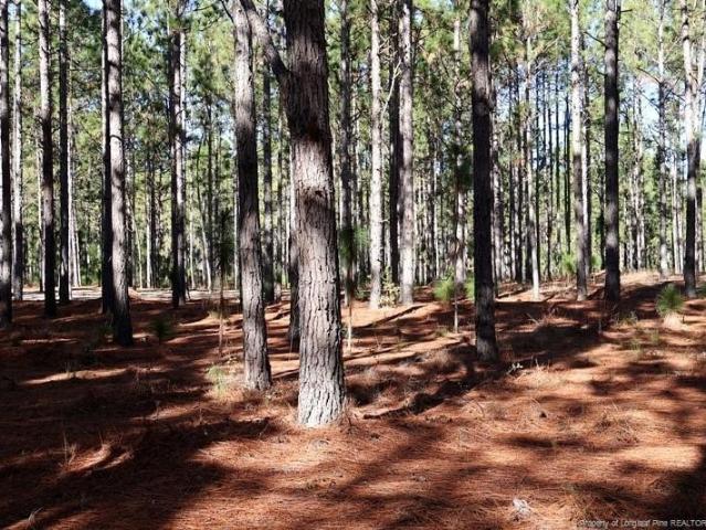 Stuarts Mill Road, Fairmont NC 28340