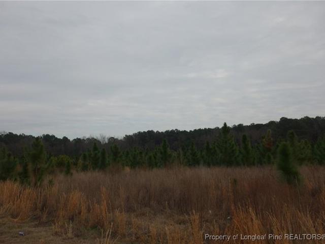 Stuarts Mill Rd Lot 29, Fairmont, NC 28340