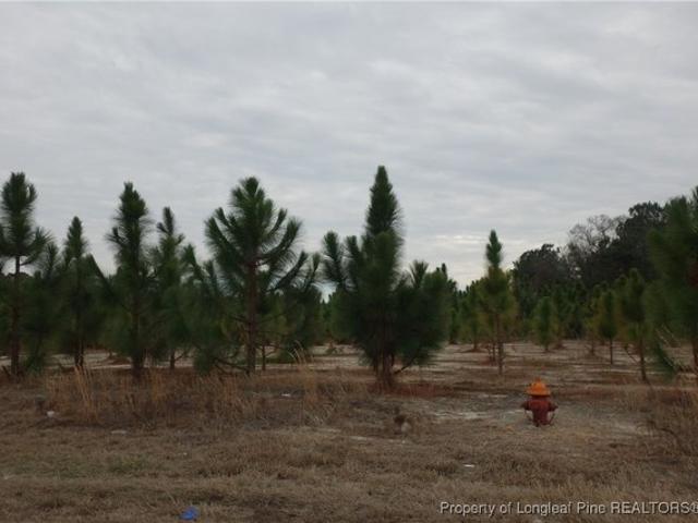 Stuarts Mill Rd Lot 32, Fairmont, NC 28340