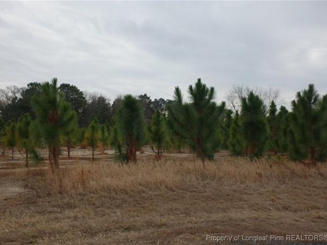 Stuarts Mill Rd Lot 48, Fairmont, NC 28340