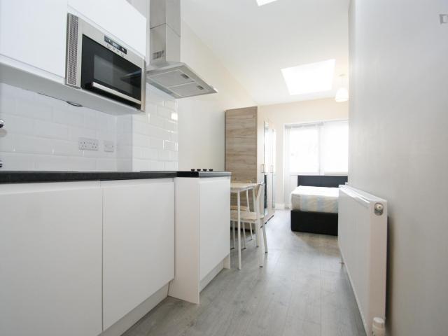 Student friendly studio in Ealing Has an Apartment