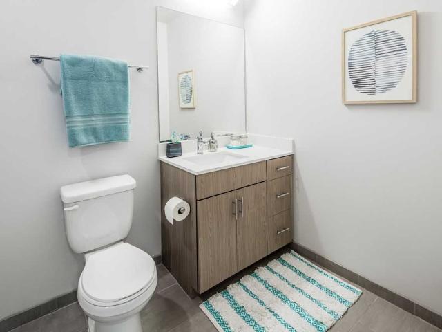 Student | Rise on 9th 4 Bedroom Apartment for Rent at 915 Locust St, Columbia, MO 65201 Downtown Columbia