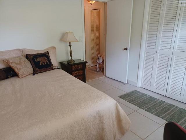 Students/Professionals Rental