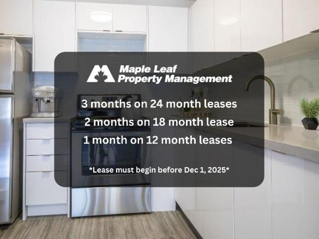 Studio, 1 bath, Apartment 40 Gerrard Street East