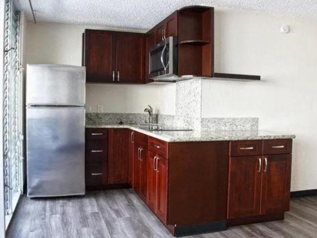 Studio, 1 bath, Apartment 441 Walina St