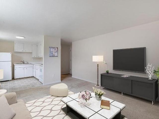 Studio, 1 bath, Apartment 49 S Pearl Street