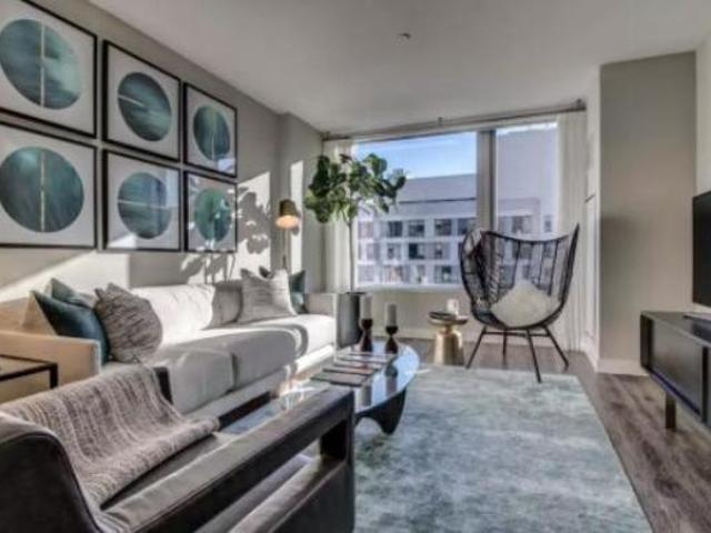Studio, 1 bath, Apartment 5 Fan Pier Boulevard