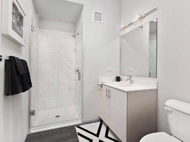 Studio, 1 bath, Apartment 717 S Clark St