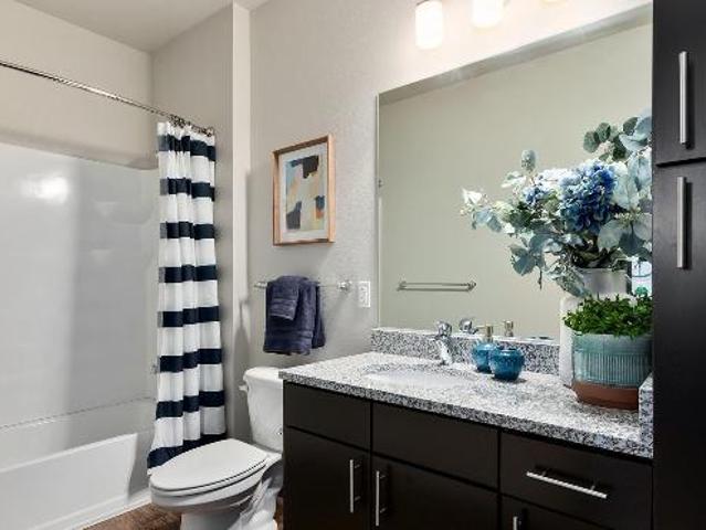 Studio, 1 bath, Apartment 801 Fifth St