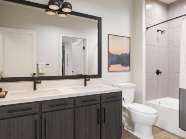 Studio, 1 bath, Apartment 1007 S Mint St
