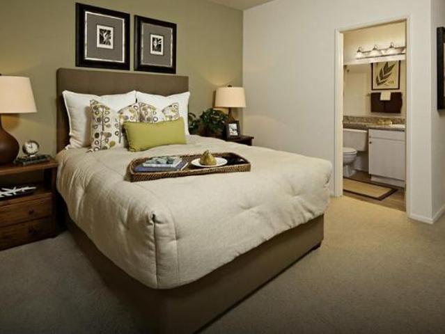 Studio, 1 bath, Apartment 100 Cantata