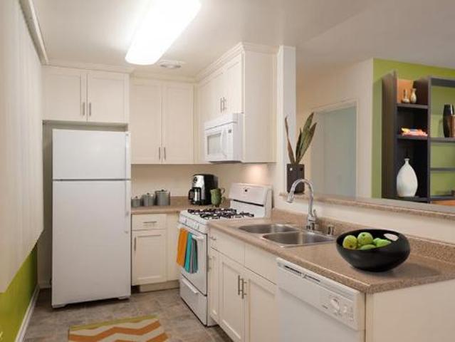 Studio, 1 bath, Apartment 11400 Rochester Ave