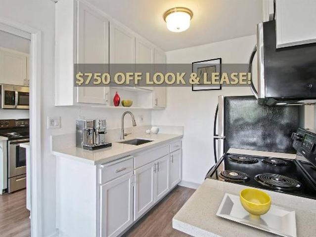 Studio, 1 bath, Apartment 1417 Veteran Avenue