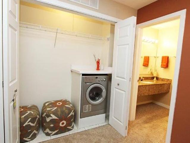 Studio, 1 bath, Apartment 1708 Arbor Square