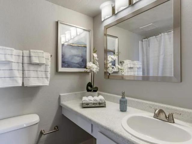 Studio, 1 bath, Apartment 17031 N 11th Ave