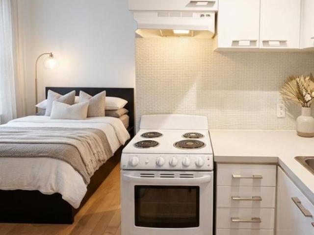 Studio, 1 bath, Apartment 181 Gerrard Street East