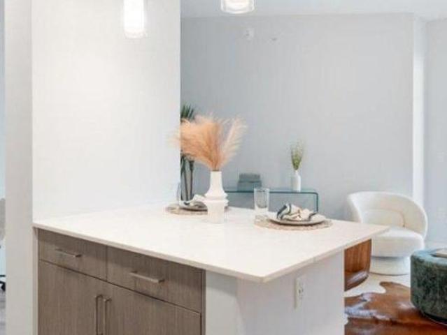 Studio, 1 bath, Apartment 195 River Grove Way