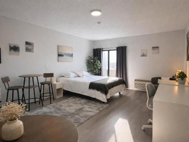 Studio, 1 bath, Apartment 2360 Princess Street
