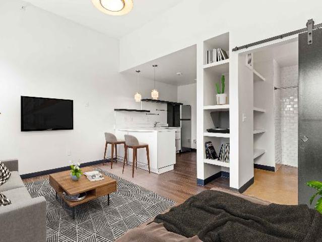 Studio, 1 bath, Apartment 3148 Stout Street