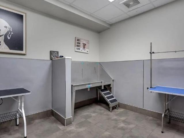 Studio, 1 bath, Apartment 314 W Jones Street