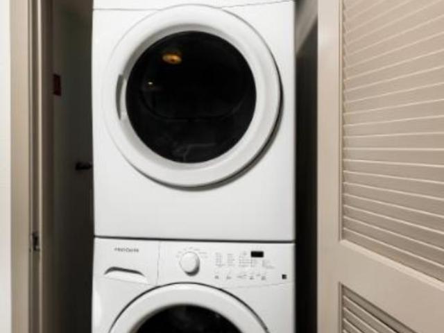 Studio, 1 bath, Apartment 318 W Wilson Ave
