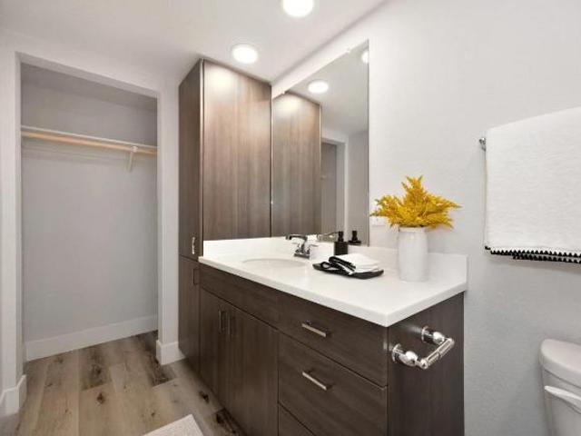 Studio, 1 bath, Apartment 321 Bercut Dr