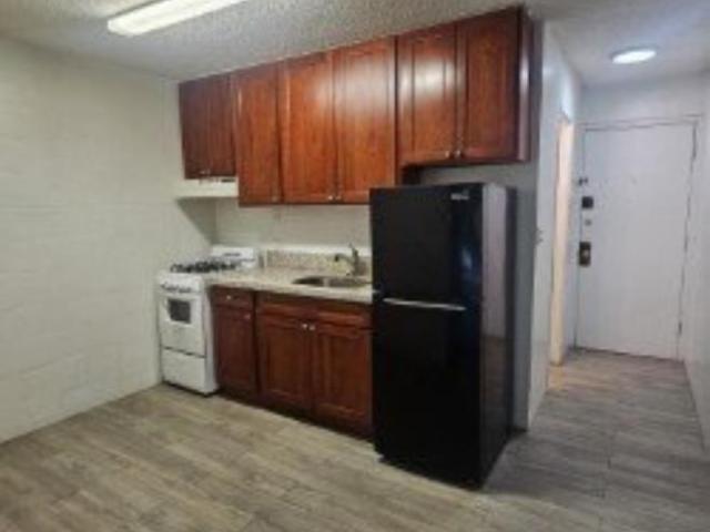 Studio, 1 bath, Condo 1439 Kewalo Street