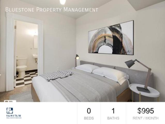 Studio, 1 bath, Condo 1527 SW Columbia St