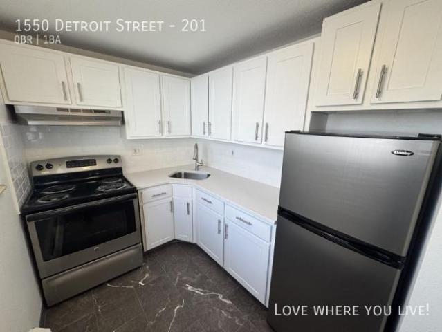 Studio, 1 bath, Condo 1550 Detroit Street