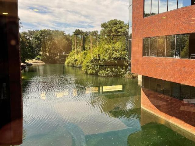 Studio, 1 bath, Condo 15950 Bay Vista Drive