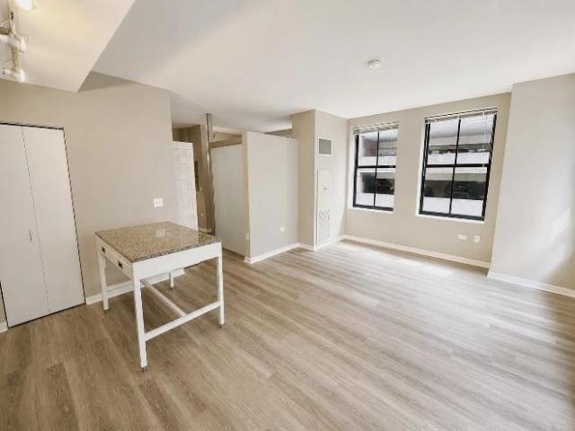 Studio, 1 bath, Condo 159 N Wells St