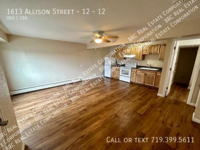 Studio, 1 bath, Condo 1613 Allison Street 12
