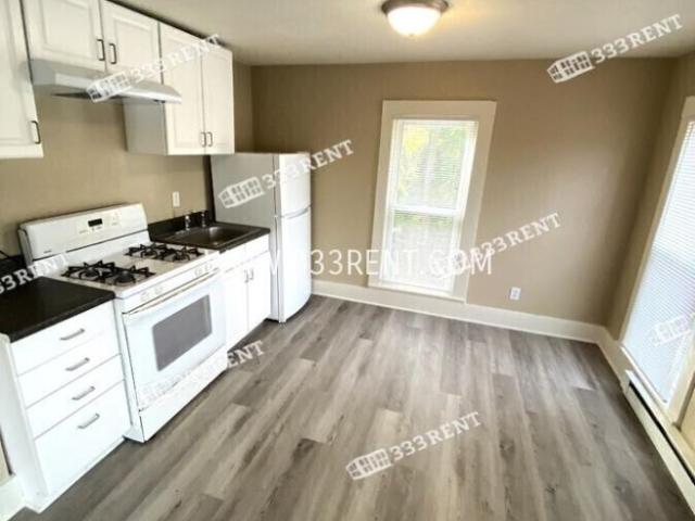 Studio, 1 bath, Condo 161 Clark Ave