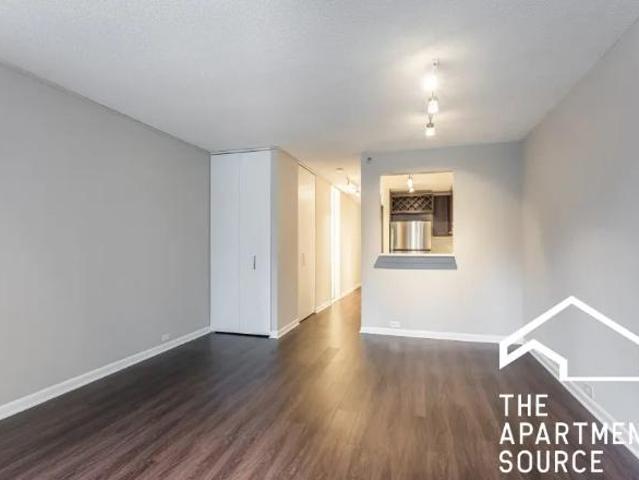 Studio, 1 bath, Condo 175 North Harbor Drive
