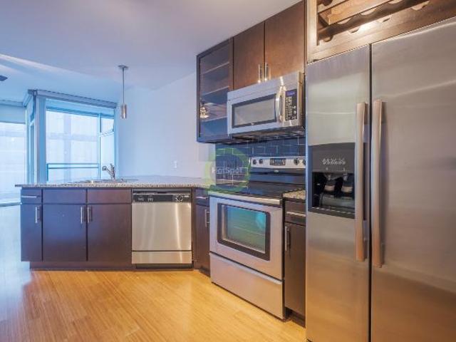 Studio, 1 bath, Condo 179 W Kinzie St