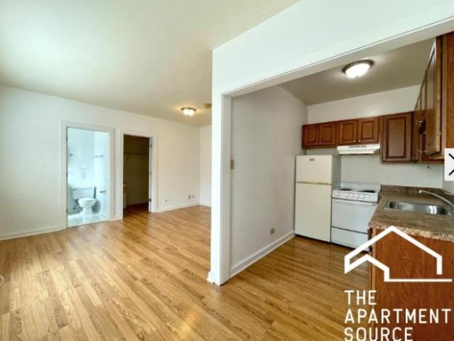Studio, 1 bath, Condo 1850 N Humboldt Blvd